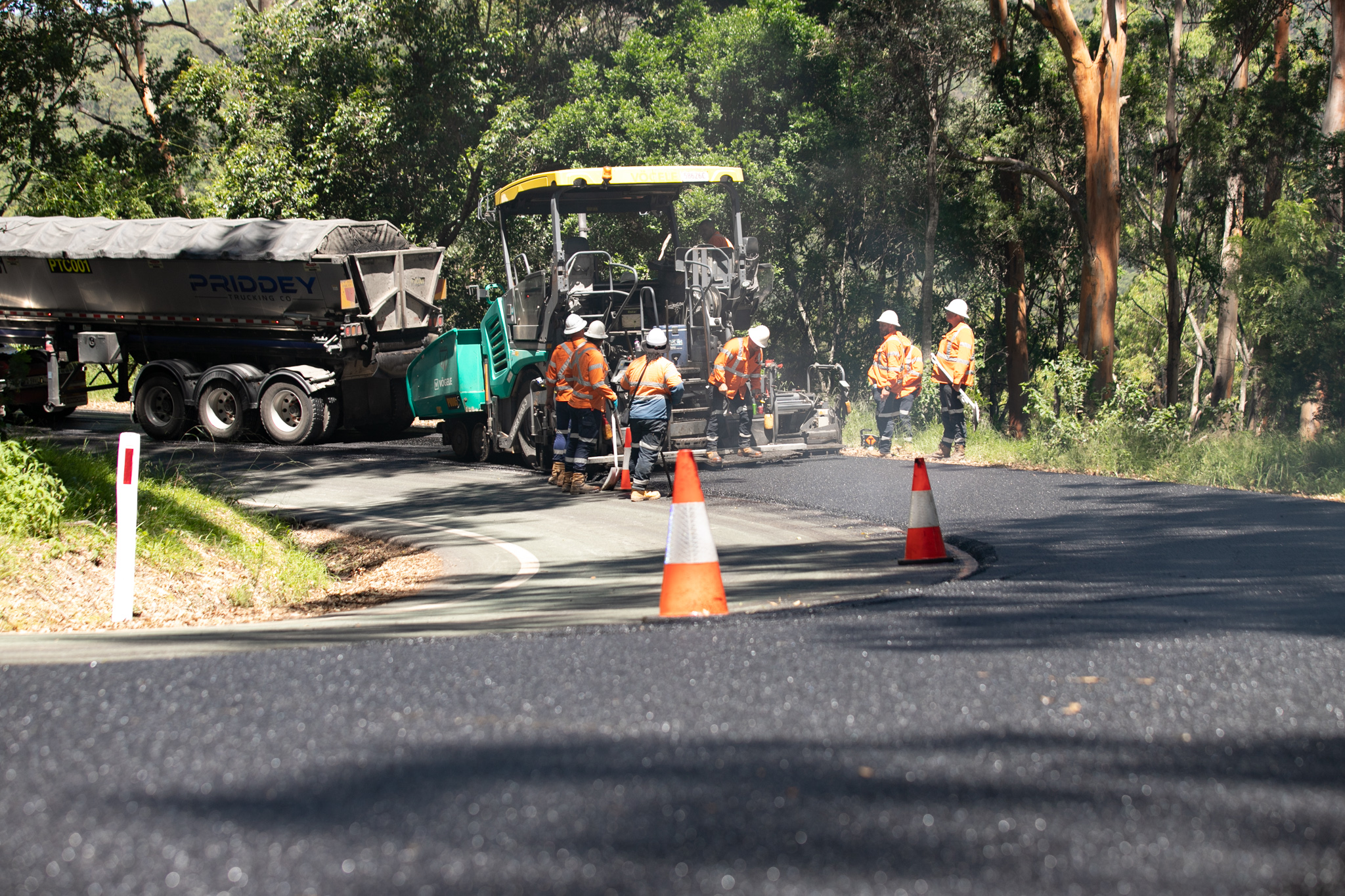 Gold Coast Springbok Road, Neranwood